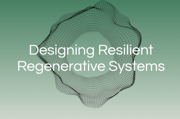 Designing Resilient Regenerative Systems | Third Horizon Earth Designing Resilient Regenerative Systems | Third Horizon Earth